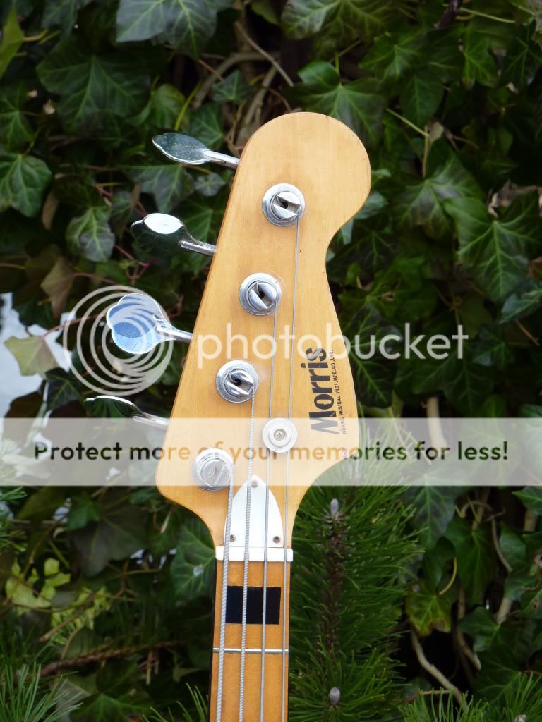 Nieuwe Bas: Morris Jazz Bas (Heeft iemand informatie?)